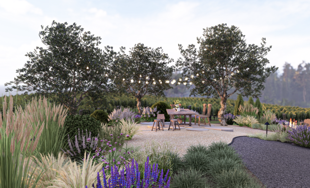 10 Olive Trees to Grow in Your Yard | Yardzen