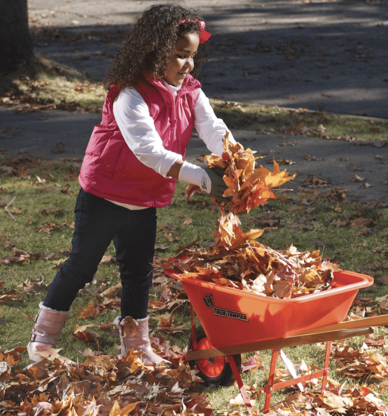 Designing Outdoor Learning Spaces for Your Yard | Yardzen