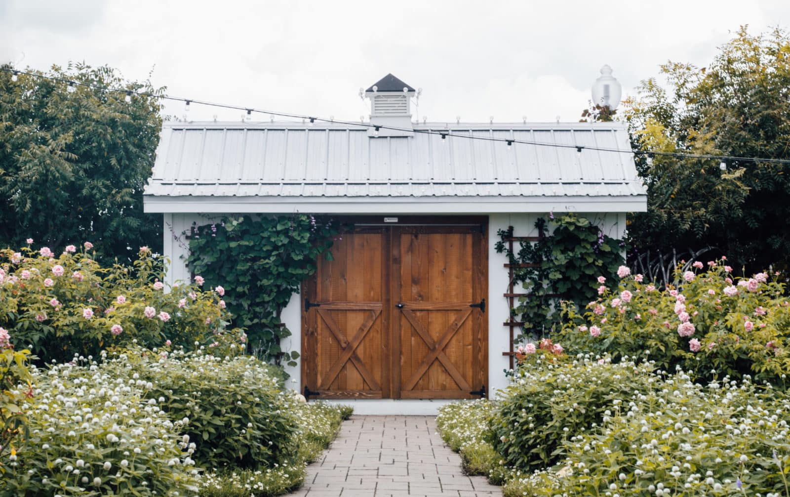 Landscaping Around a Shed | Yardzen