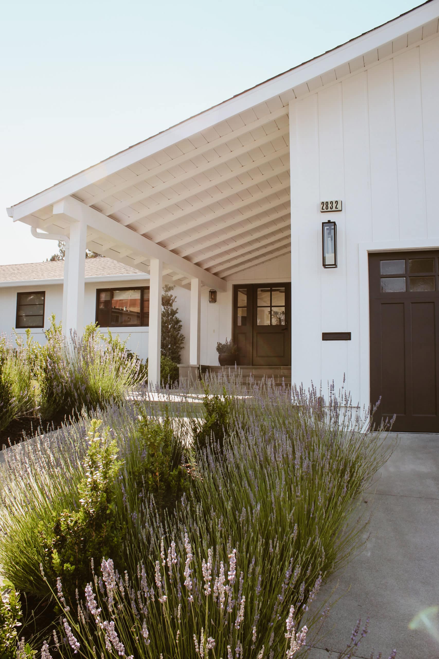 Pollinator Garden Design for Beginners