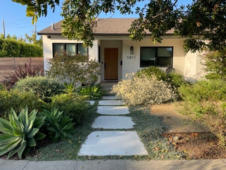 Rewilding Your Yard: Ideas and Inspiration for Homeowners | Yardzen