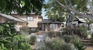 Guide to Meadowscaping (and Gorgeous Landscaping Examples) | Yardzen