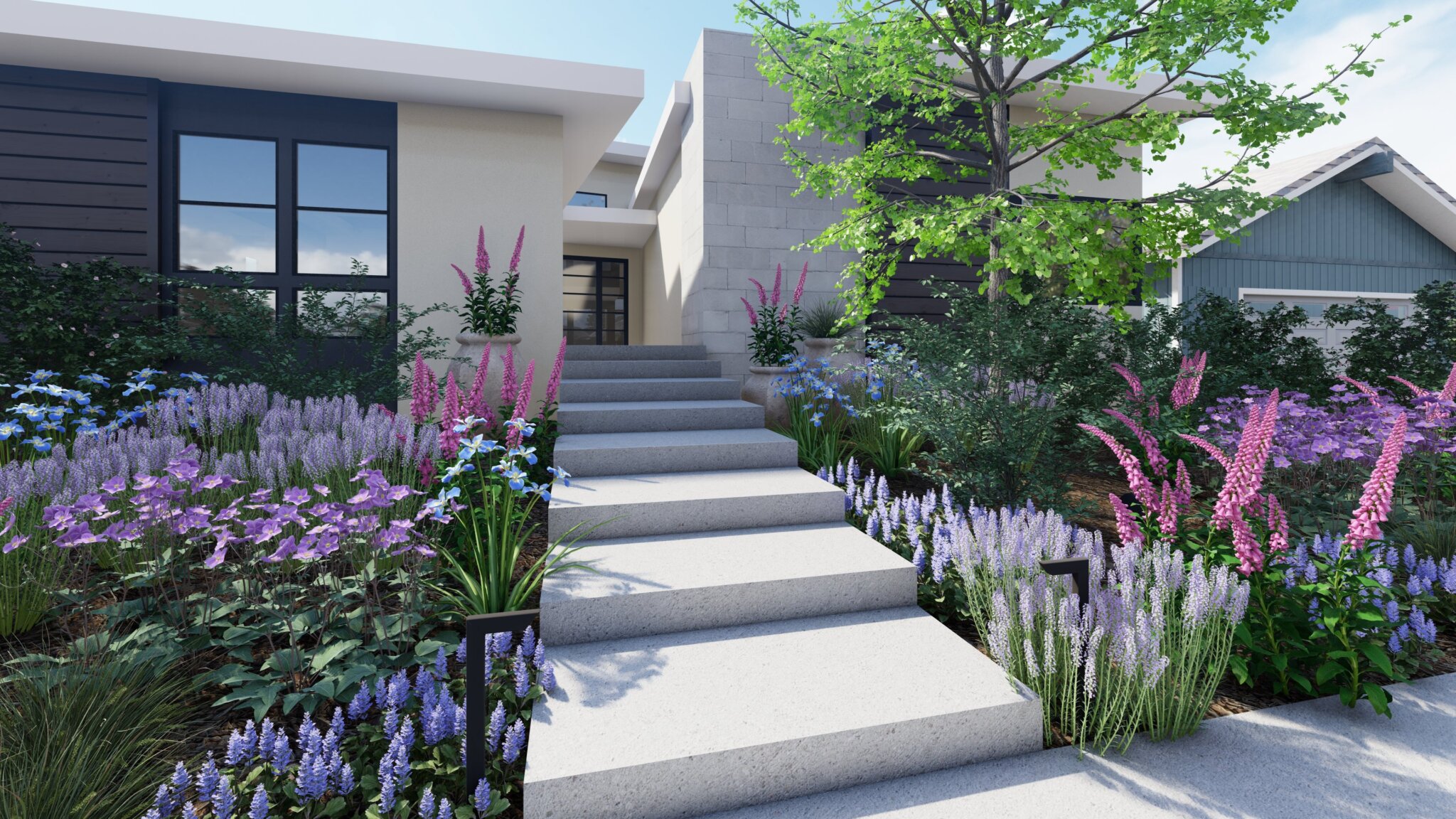 Rewilding Your Yard: Ideas and Inspiration for Homeowners | Yardzen