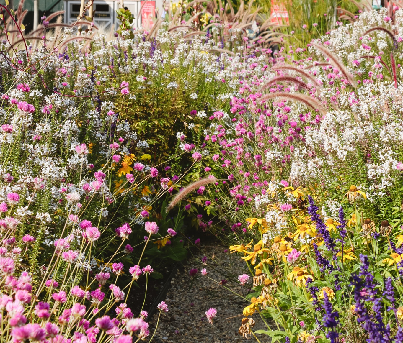 2023 Outdoor Design Predictions | Yardzen