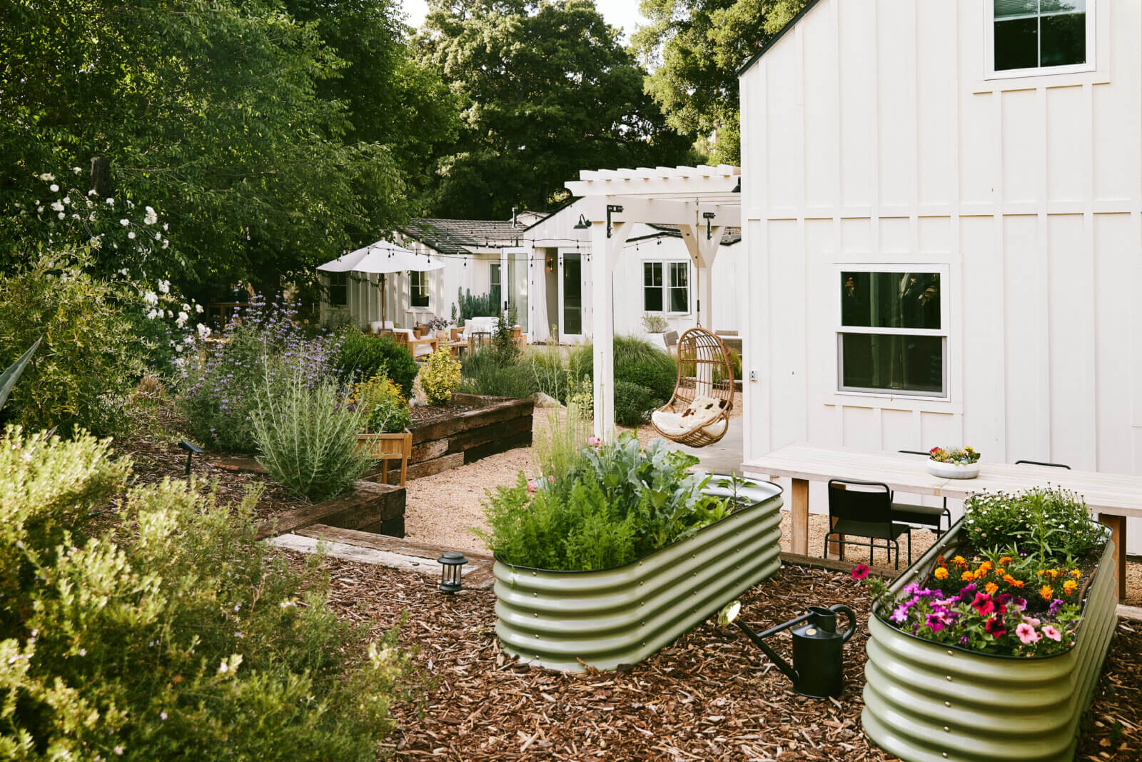 Rewilding Your Yard: Ideas and Inspiration for Homeowners | Yardzen