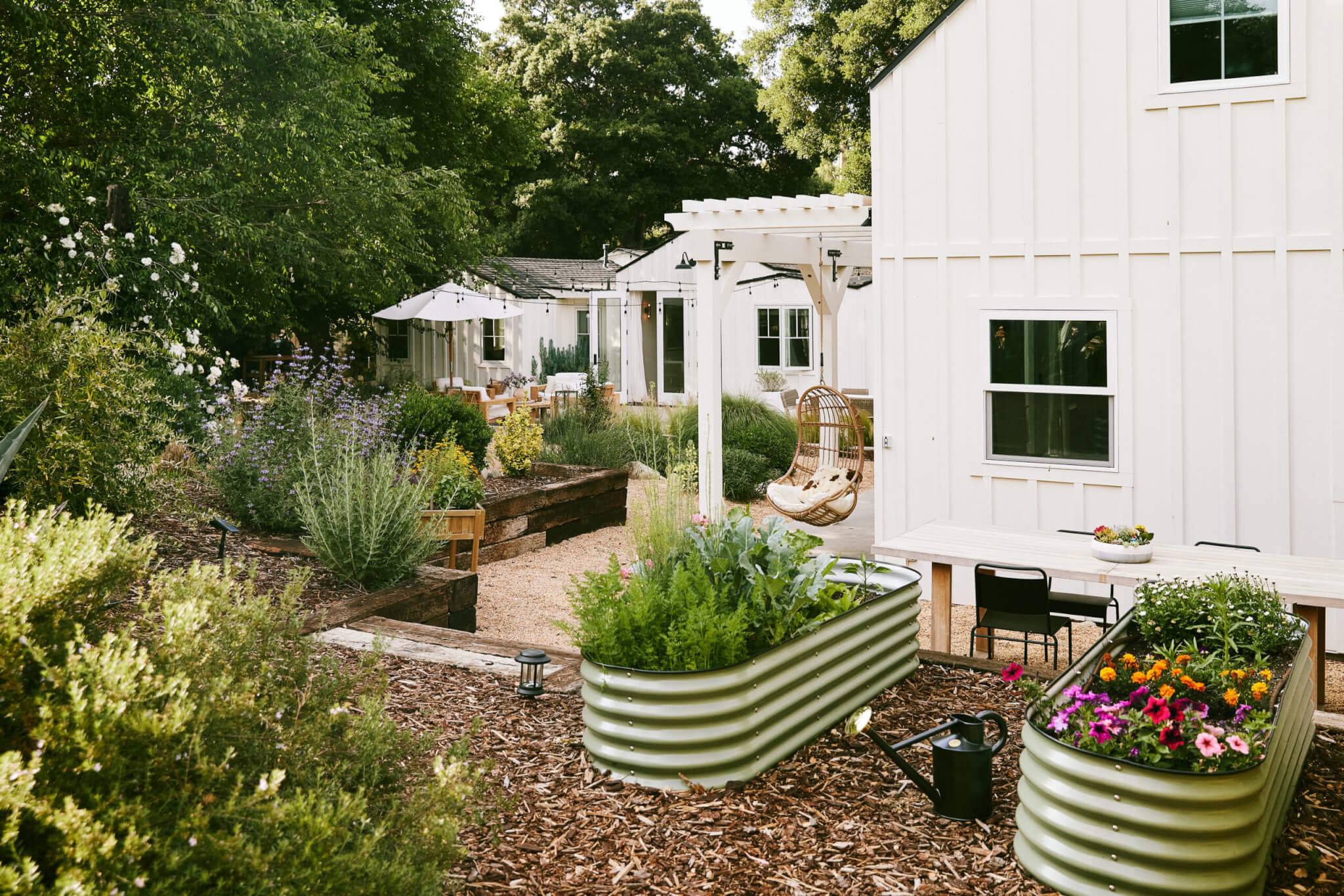 Rewilding Your Yard: Ideas and Inspiration for Homeowners | Yardzen