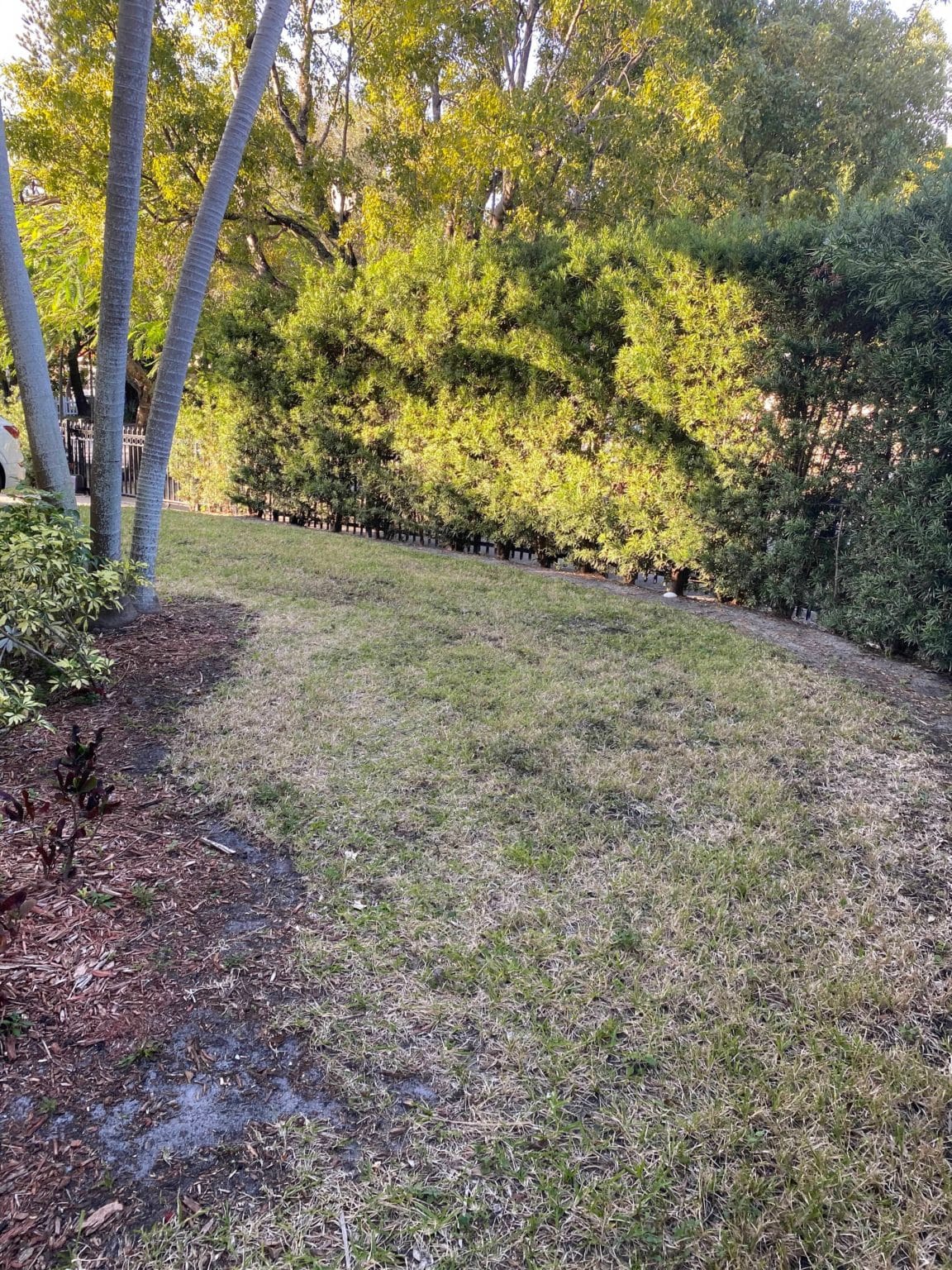 This Miami Florida Backyard Design is a Tropical Oasis | Yardzen