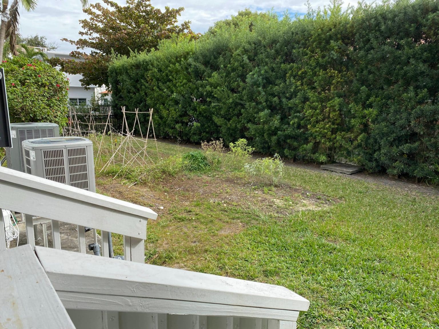 This Miami Florida Backyard Design is a Tropical Oasis | Yardzen