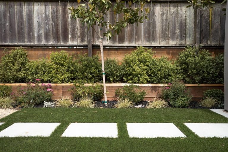 Easy Ways to Turn Your Yard into a Sustainable Landscape | Yardzen